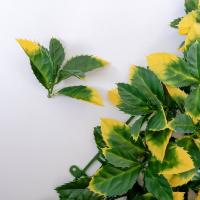China Vertical Landscape Artificial Green Wall Panels Waterproof 4x25 ft Customizable for sale