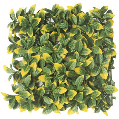 China Vertical Landscape Artificial Green Wall Panels Waterproof 4x25 ft Customizable for sale