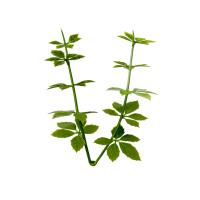 China PE Artificial Bush Wall 50x50cm Decorative Plastic Plants for Home Garden for sale