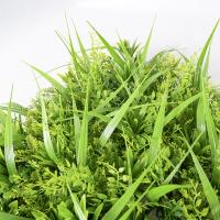 China Artificial Greenery Wall Panels 45mm PE PP Plastic Plant Wall for Restaurant Indoor Decor for sale