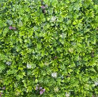 China Artificial Greenery Wall Panels 45mm PE PP Plastic Plant Wall for Restaurant Indoor Decor for sale