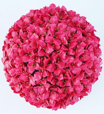 China UV Protected PE Faux Boxwood Topiary Ball 42cm Diameter for Indoor Outdoor Decoration for sale