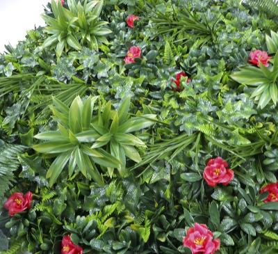 China Wooden Frame Artificial Green Wall Panel 42cm Waterproof PE PP for Indoor Decoration for sale