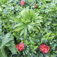 China Vertical Garden Artificial Green Walls Plant Panel Plastic Greenery Hedge 20mm Pile Height 2.3kg Weight for sale