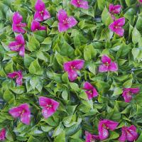 China Anti UV Artificial Boxwood Hedge Panels 42cm Diameter Green Wall for Garden Landscaping for sale