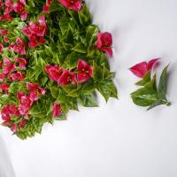 China Synthetic Home Artificial Outdoor Foliage Wall Panels for sale
