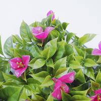 China Wholesale Artificial Boxwood Foliage Garden Hedge Green Wall Panels 42cm Diameter 2.3kg for sale