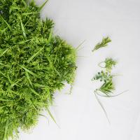 China Artificial Green Wall Panels 42 cm Diameter PE PP Fake Hedge for Decoration for sale