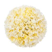 China Artificial Plant Wall Panels 42cm Diameter Waterproof PE PP Green Decorative Grass for sale