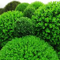 China Artificial Plant Wall Panels 42cm Diameter Waterproof PE PP Green Decorative Grass for sale