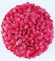 China Artificial Green Topiary Ball 35-42cm Diameter PE PP Custom Color for Indoor Outdoor Decoration for sale