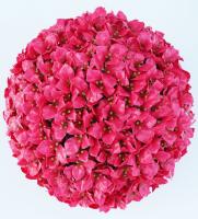 China Artificial Topiary Plant Ball 35-42cm PE Plastic Faux Flower Grass Ball for Wedding Home Decoration for sale