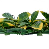 China Artificial Grass Hedge Wall Panels 25mm Pile Height for Commercial Decoration for sale