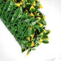 China Synthetic Artificial Grass Wall Panels Boxwood Screening Hedge 2x25 ft PE PP for sale