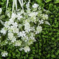 China Vertical Backdrop Panel Plastic Plant Artificial Hedge Fence Green Wall For Decoration for sale