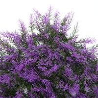 China Customized Factory Direct Outdoor Artificial Grass Wall Decor Enviromental for sale
