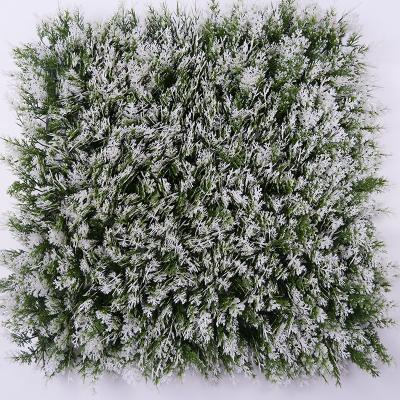China Anti UV Artificial Green Wall 50x50cm Customizable for Indoor Outdoor Decoration for sale