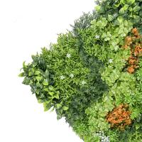China Hedge Artificial Green Plant Wall Panel 20mm For Indoor for sale
