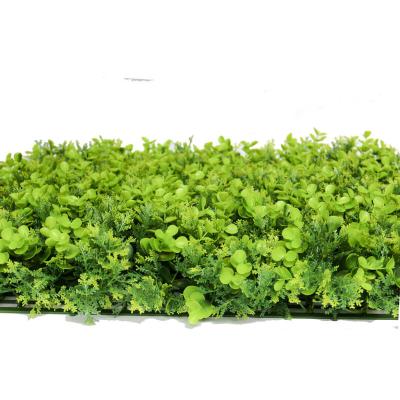 China Artificial Green Wall Panels 50x50cm Customizable UV Resistant Washable Non Toxic Indoor Outdoor Decorative for sale