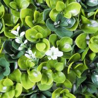 China Anti-UV Plastic Artificial Grass Wall Greenery Panels 50x50cm for Home Decoration for sale