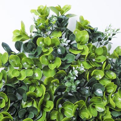 China PE Plastic Artificial Hedge Panel 50x50cm Synthetic Green Wall for Privacy Decoration for sale
