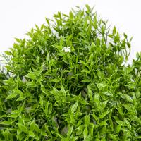 China PE/PP Customized Greenery Artificial Green Wall Use For Market Decoration for sale