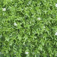 China PE/PP Customized Greenery Artificial Green Wall Use For Market Decoration for sale