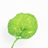 China Artificial Ivy Garland 2m 72 Leaves Hanging Foliage Vine Plastic Fabric for Wedding Home Wall Decoration for sale