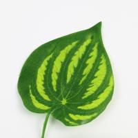 China Artificial Ivy Garland 2m 72 Leaves Hanging Foliage Vine Plastic Fabric for Wedding Home Wall Decoration for sale