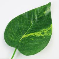 China Artificial Ivy Garland 2m 72 Leaves Hanging Foliage Vine Plastic Fabric for Wedding Home Wall Decoration for sale