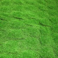 China Indoor Artificial Moss Mat 100x100cm UV Resistant Fake Green Grass Wall Panel for sale