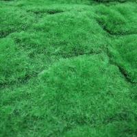 China Indoor Artificial Moss Mat 100x100cm UV Resistant Fake Green Grass Wall Panel for sale