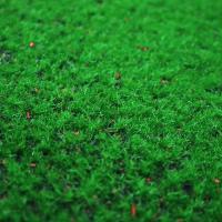 China Home Soft Artificial Moss Grass Mat Wall 3mm Decoration Green for sale