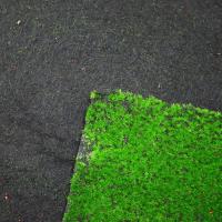 China Home Soft Artificial Moss Grass Mat Wall 3mm Decoration Green for sale