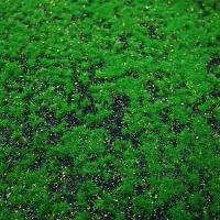 China Home Soft Artificial Moss Grass Mat Wall 3mm Decoration Green for sale