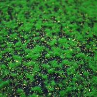 China Home Soft Artificial Moss Grass Mat Wall 3mm Decoration Green for sale