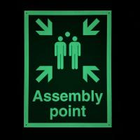 China 300 X 400mm Photoluminescent Assembly Point Signage Glow In The Dark for sale