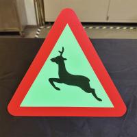 China Plastic Photoluminescent Signage For Wall Mounted And Ceiling Mounted Installation for sale