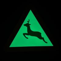 China Plastic Photoluminescent Signage For Wall Mounted And Ceiling Mounted Installation for sale