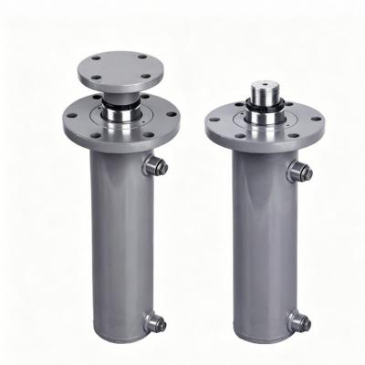 China Heavy Load Excavator Hydraulic Cylinder Assembly OEM Custom Bore Stroke Hydraulic Cylinders for Large and Mini Diggers Repair & New Assembly for sale