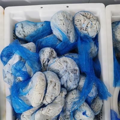 China Edible Air Dried Natural Sheep Casings 26mm Fresh Transparent for Sausage Making for sale