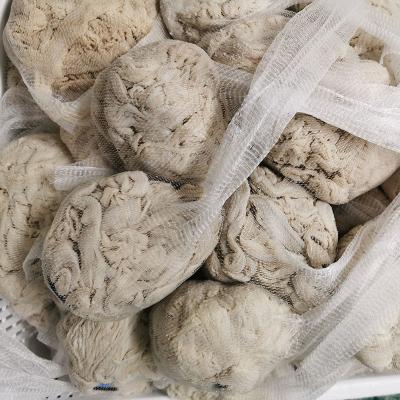 China Natural White 24mm Sheep Sausage Casing Cold Storage Uniform Diameters for Food Packaging for sale