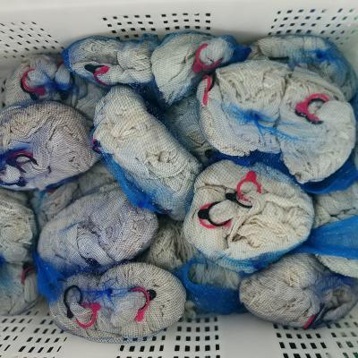 China Natural Sheep Casings 18/20mm Class AB Finished Sausage Casings for Factory Use for sale