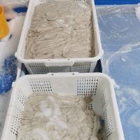 China Salted Natural Lamb Casings for Sausage Making 90m Length ISO 9001 Certified for sale