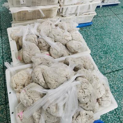China Customization Lamb Intestine Casings For Snack Sticks No Additives for sale