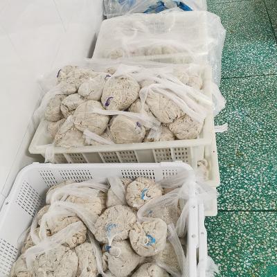 China Breathable  18-20mm Natural Sausage Casing High Transparency for sale