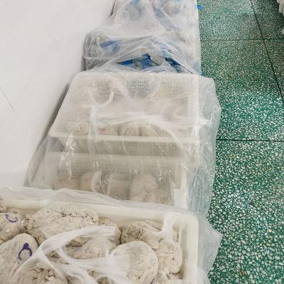 China Grade A Natural Lamb Casings 18/20mm High Thermal Stability for Sausage Making for sale
