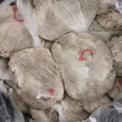 China Edible 22-24mm Natural Sheep Casing for Sausage Making Strong Toughness Food Grade for sale