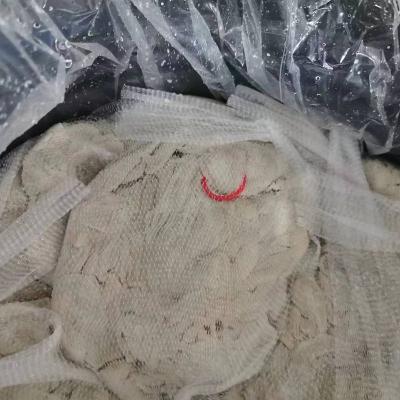 China Natural Sheep Sausage Casing 18/20mm Halal Frozen Casing for Sausage Making for sale