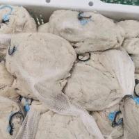 China Uniform Thickness Sheep Intestine Casing For Sausage Customizable for sale